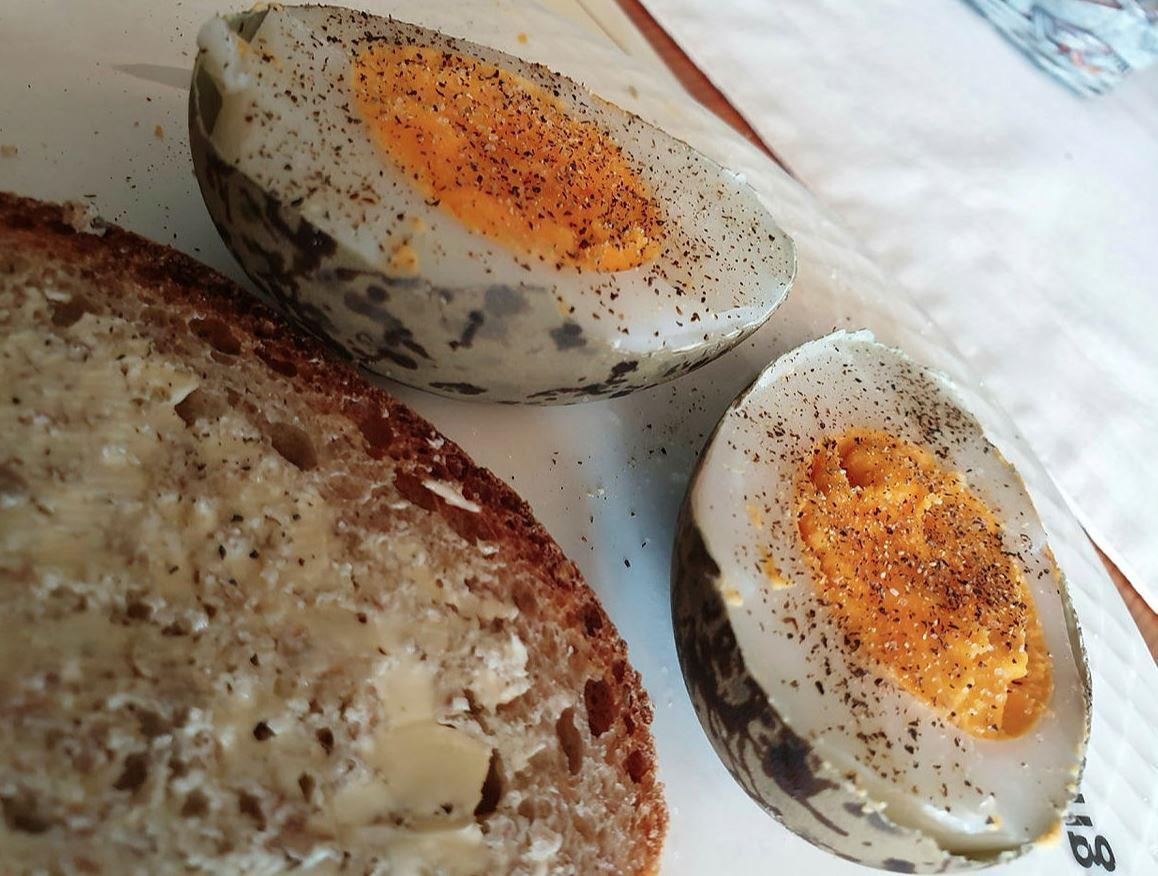 Sanking av egg og dun på Finnmarkseiendommen - Bærekraftig og ...